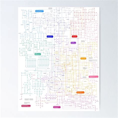 Metabolic Pathways Poster For Sale By Mbalax Redbubble