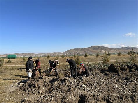 Агар Тайж ХХК Ulaanbaatar