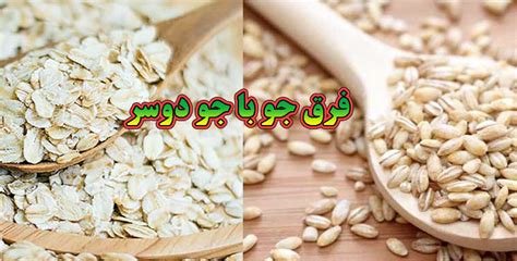 ️فرق جو با جو دوسر هانی فود