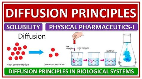 Diffusion Principles In Biological Systems Pptx