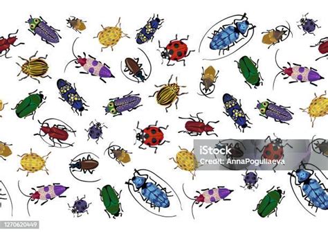 매끄러운 패턴 다채로운 버그와 테두리 딱정벌레의 밝은 손그리기 곤충에 대한 스톡 벡터 아트 및 기타 이미지 곤충 딱정벌레 개체 그룹 Istock