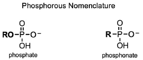 Structures Of A Phosphate Left Versus Phosphonate Right