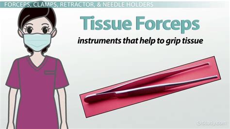 Veterinary Surgical Equipment Overview And Functions Lesson