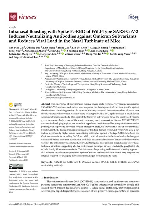 Pdf Intranasal Boosting With Spike Fc Rbd Of Wild Type Sars Cov 2 Induces Neutralizing