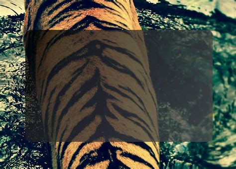 Colors Wpf How To Style My Form With Transperancy Levels Stack