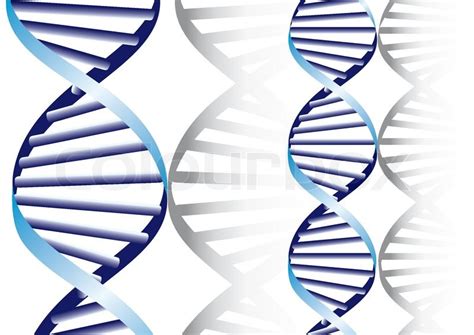 Dna Helix Vector At Collection Of Dna Helix Vector Free For Personal Use