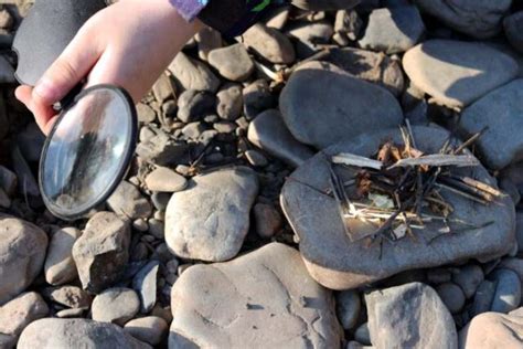 How To Start A Fire With A Magnifying Glass Survival World