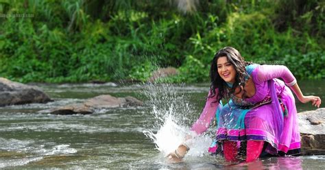 MY COUNTRY ACTRESS Actress Deeksha Seth From Nippu HD PICS