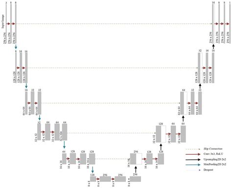 color online u net model architecture download scientific diagram
