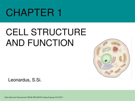 Ppt Cell Structure And Function Powerpoint Presentation Free Download Id1136159