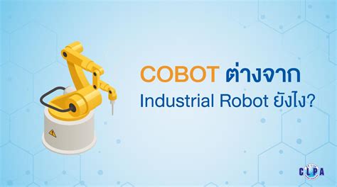 รู้ไว้ไม่พลาด Cobot คืออะไร มีอะไรบ้าง ต่างจาก Robot ทั่วไปยังไง
