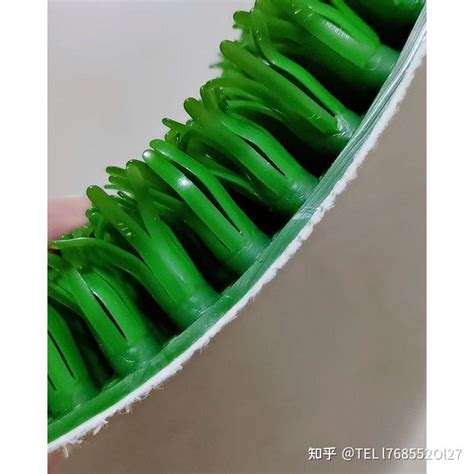 增金草粘金草规格价格介绍 知乎