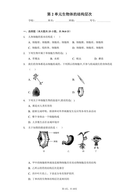 2022 2023学年苏教版生物七年级上册单元同步练习 第2单元 生物体的结构层次（word版 含答案） 21世纪教育网