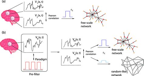 methodology a standard voxel voxel correlation leading to a
