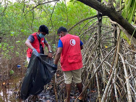 Ecosystem Restoration