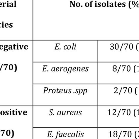 Bacterial Profile Among Pyospermic Patients Download Scientific Diagram