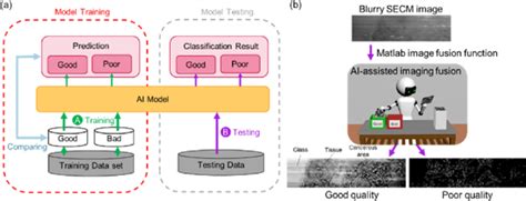 A Process Of Building The Ml Model B Ai Assisted Image Fusion Can