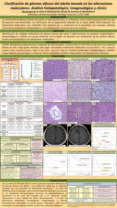 Pdf Classification Of Diffuse Gliomas Of Adults Based On Molecular