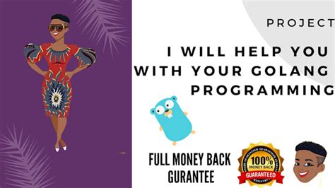 Help You With Your Golang Projects