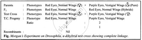 Define Complete Linkage Give An Example Of A Cross Showing Complete
