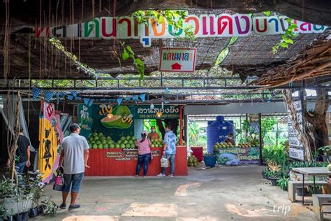 9 ที่เที่ยวนครปฐม เดินตลาดช้อปปิ้ง เช็คอินวัดสวยต้องไหว้