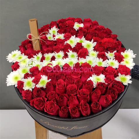 گل عروس بنفش خرید گل ژیپسوفیلیا با رنگ های مختلف و جذاب دسته گلی