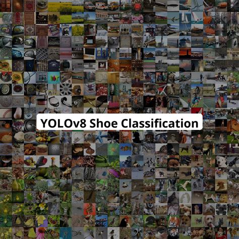 Modeleeyolov8n Shoe Classification