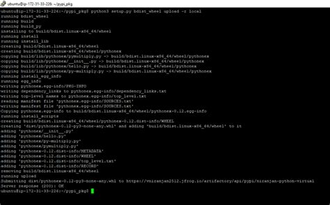 Create Generic Python And Docker Package Repositories With Jfrog