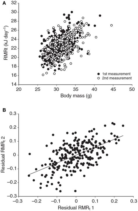 A Relationship Between Rmrt Resting Metabolic Rate Measured At