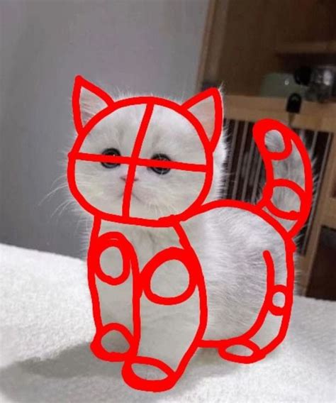 Пин от пользователя Наталья на доске черепашки в 2025 г Лего раскраски Рисунки домашних