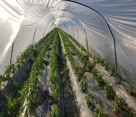 Tunnel Structure In Punjab Pakistan Download Scientific Diagram