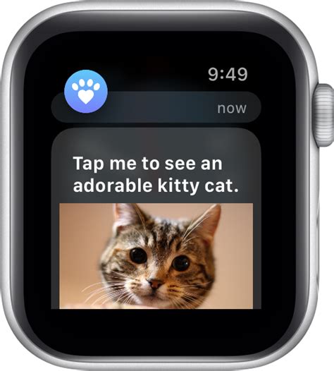 Watchos With Swiftui By Tutorials Chapter 6 Notifications Kodeco