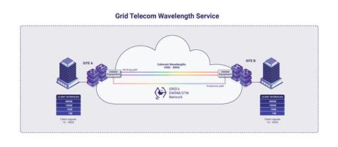 Optical Fiber Wavelength Service Grid Telecom