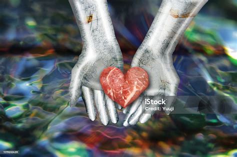 양손으로 하트 모양의 쇠고기 인공 고기를 들고 있는 금속 로봇 배경 셀 이미지 Dna에 대한 스톡 사진 및 기타 이미지 Dna Induced Pluripotent
