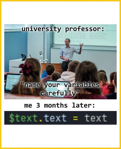 no errors though r programmerhumor