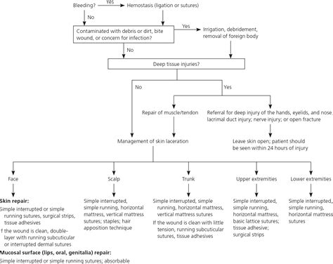 Simple Lip Laceration