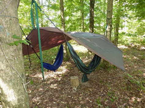 Two Hammocks Under One Tarp