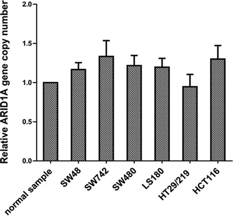 Analysis Of Arid1a Copy Number Variation In The Crc Cell Lines Crc