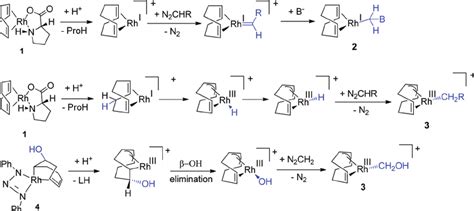 Two Likely Candidates For The Catalytically Active Species Derived From Download Scientific