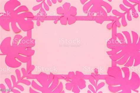 열 대 잎 패턴입니다 분홍색 배경에 종이와 프레임의 유행 열 대 잎 텍스트 또는 디자인에 대 한 템플릿입니다 평평한 누워 하향식 구성 창조적 인 종이 예술 0명에 대한 스톡