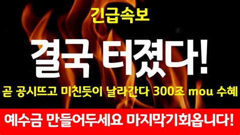 주식 🔥50만원갈때까지 절대 팔지마라 120조 페라이트 국내유일 생산기업 무조건 들어가세요에코프로를 못샀다면 이종목은