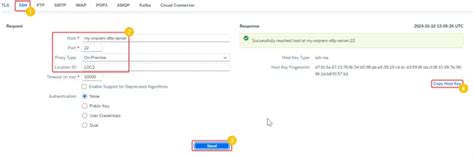 Receiver SFTP Adapter Configuration SAP Integration Suite CPI And PI PO SAP Integration Hub
