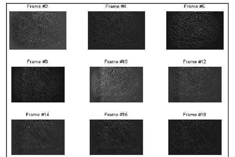 Sample Frames From A Hybrid Video Note The Vertical Synthetic Stimulus Download Scientific