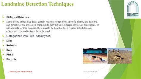 Landmines Types And Detection Majed Reducedpptx