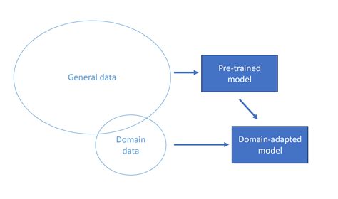 Domain Adapted Word Embedding Dscience Centre For Computational And