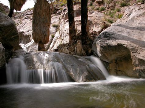 Indian Canyons Palm Springs