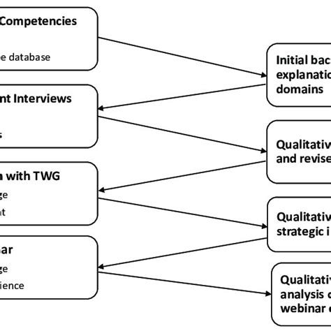figure summary of the iterative review and analytical processes