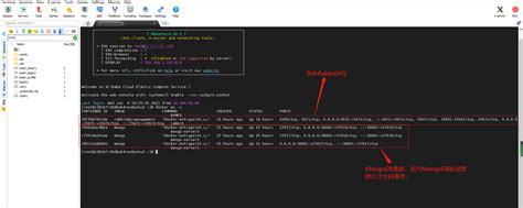 建议：小规模分布式就用dtc，大规模分布式就用netcorecapnetcorecap官网 Csdn博客