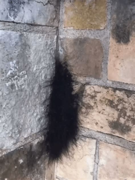 Thanks I Hate Spiders R Wowiactuallyhatethis