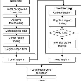 OpenComet Interface And Outputs The User Interface Of OpenComet A Download Scientific